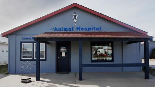 About Us | The Animal Hospital